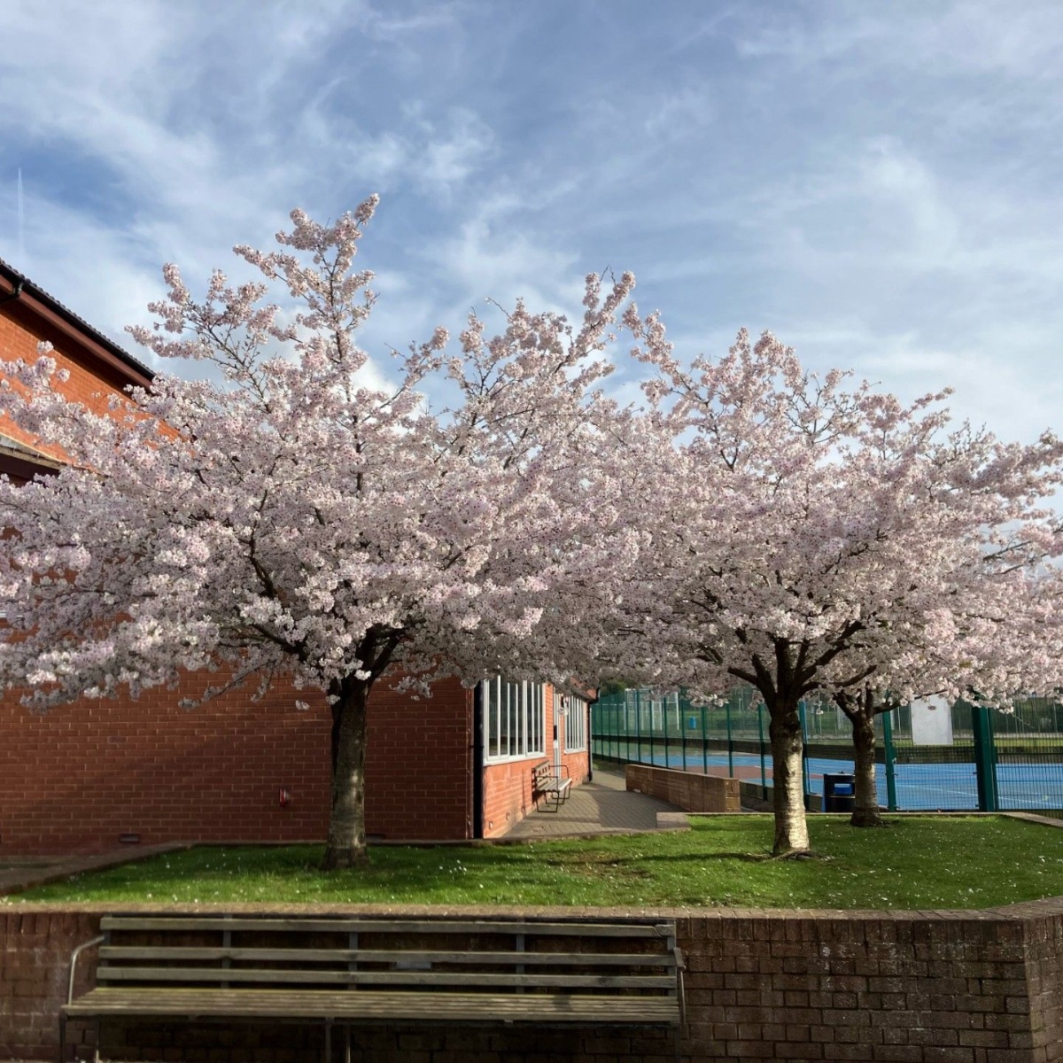 Balcarras School - Balcarras in Bloom