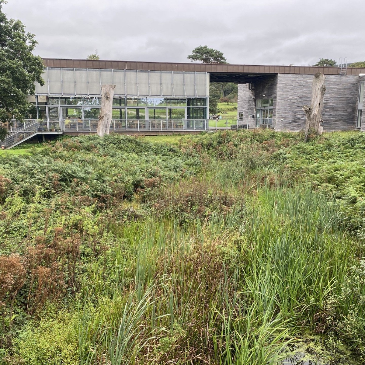 Balcarras School - Environmental Scientists explore South Wales